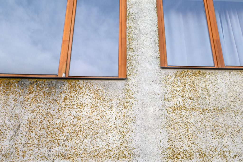 Building facades: the most common pathologies - Alberta Construction ...